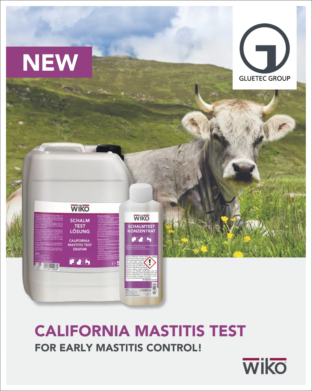 Precision Testing for Early Mastitis Detection with new WIKO ...